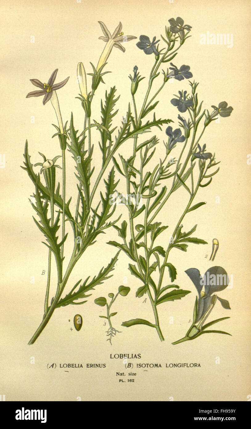 A 19th-century chromolithographic work featuring a variety of beloved ...
