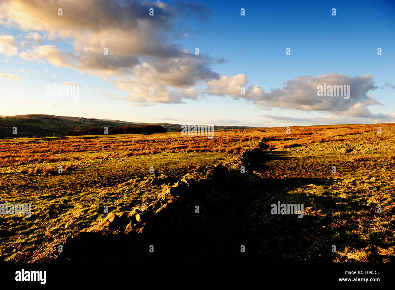 Golden light over the Lancashire Moors as seen from Affetside. Picture ...