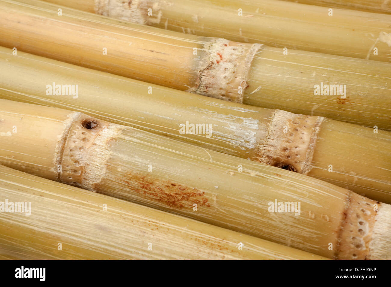 Fresh pieces of sugar cane sticks full frame Stock Photo - Alamy