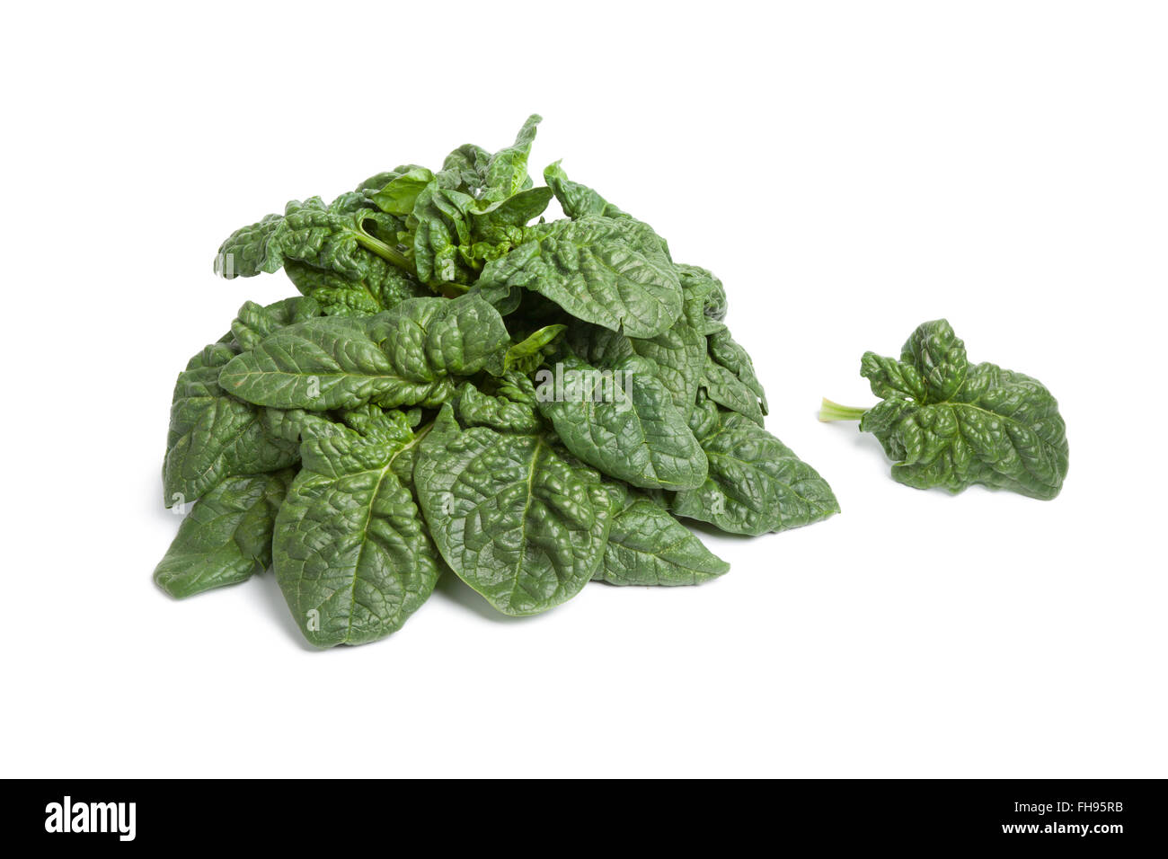 Fresh raw wild spinach leaves isolated on white background Stock Photo ...
