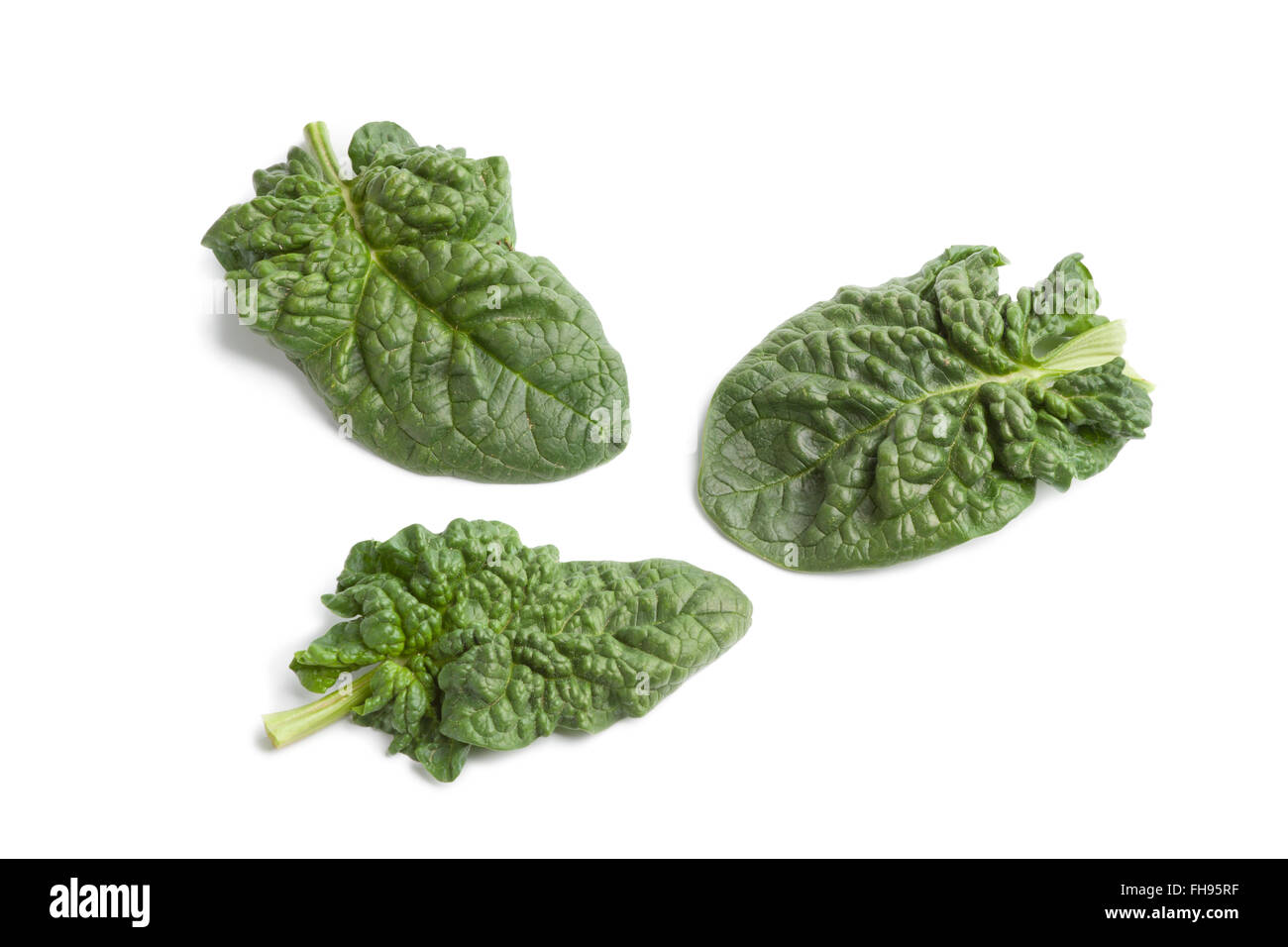 Fresh raw wild spinach leaves isolated on white background Stock Photo ...