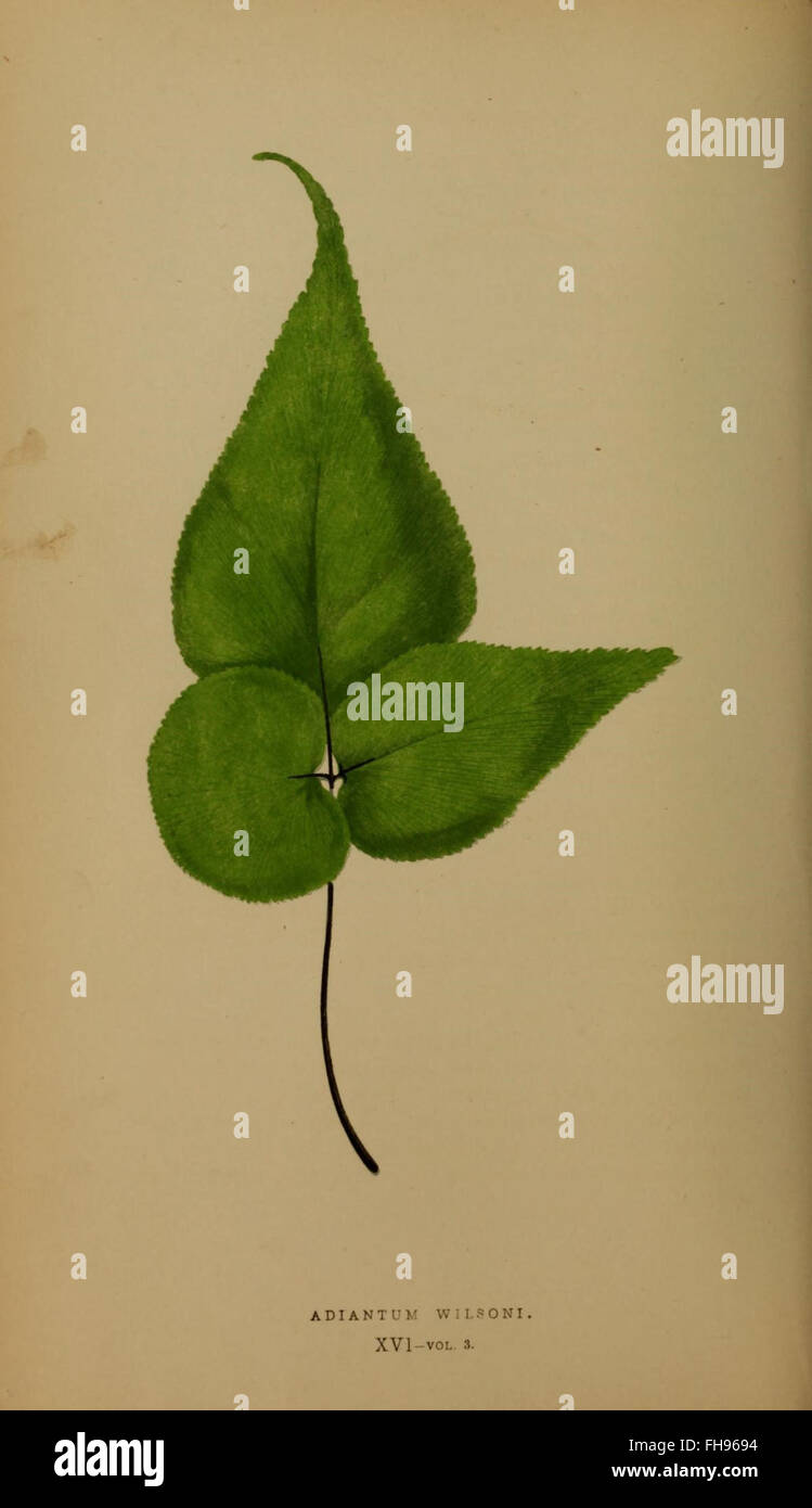 Harper's New Monthly Magazine Volume 104 December 1901 to May 1902 (1902 Stock Photo - Alamy