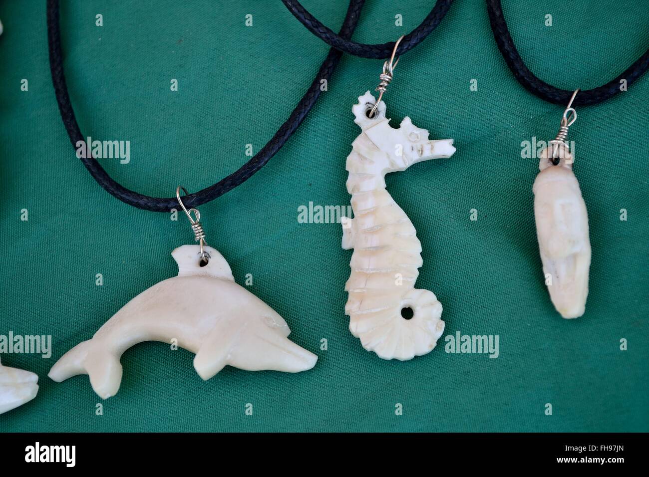 Dolphin bones hi-res stock photography and images - Alamy