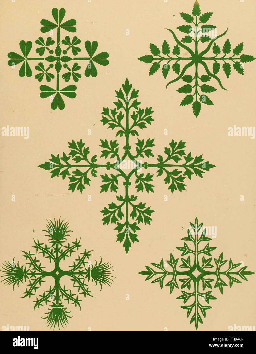Floriated ornament, a 1849 collection of thirty-one ornamental designs ...