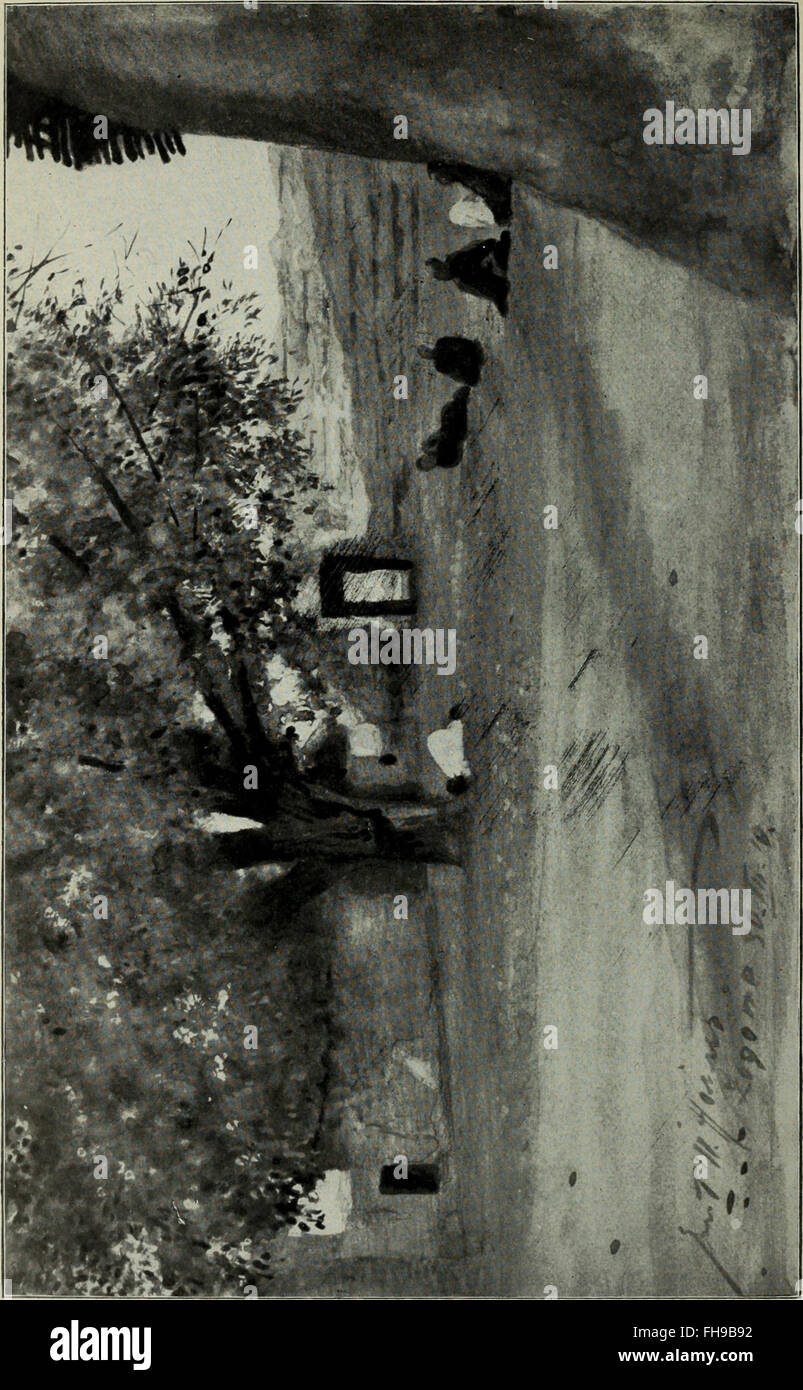 A 1913 account of the German Central African expedition, detailing the ...