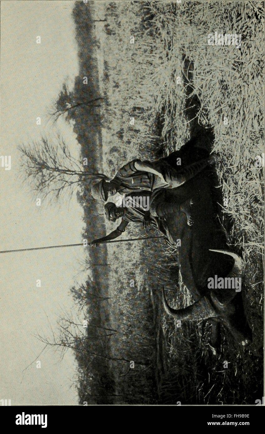 A 1913 account of the German Central African expedition, documenting ...