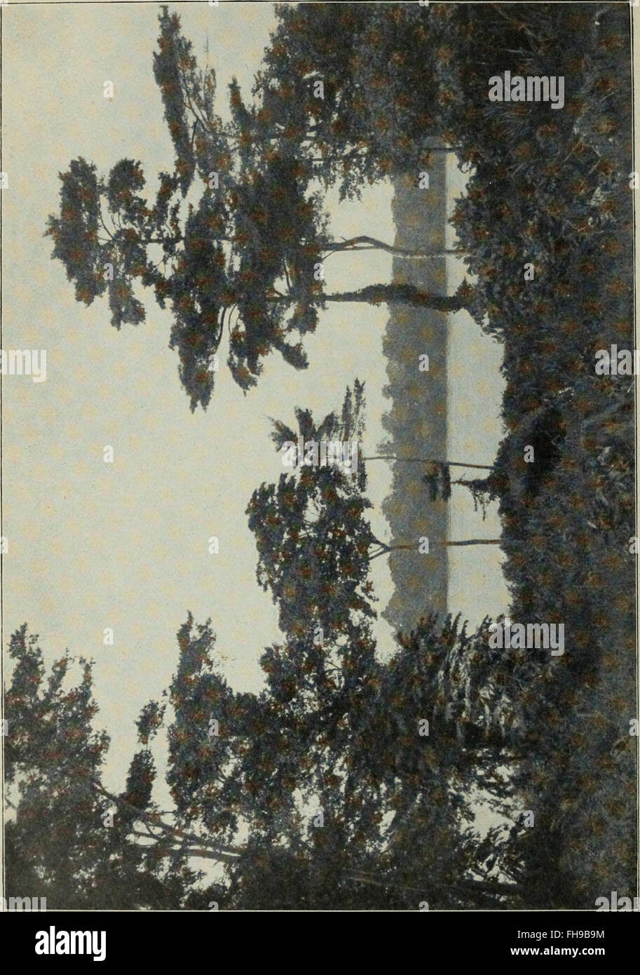 An account of the German Central African expedition of 1910-1911 ...