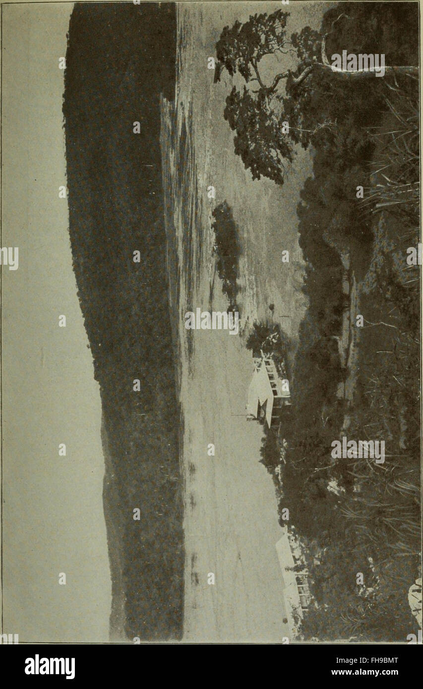 From the Congo to the Niger and the Nile - An Account of The German ...