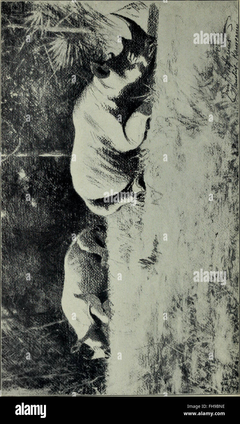 An account of the 1910-1911 German Central African Expedition ...