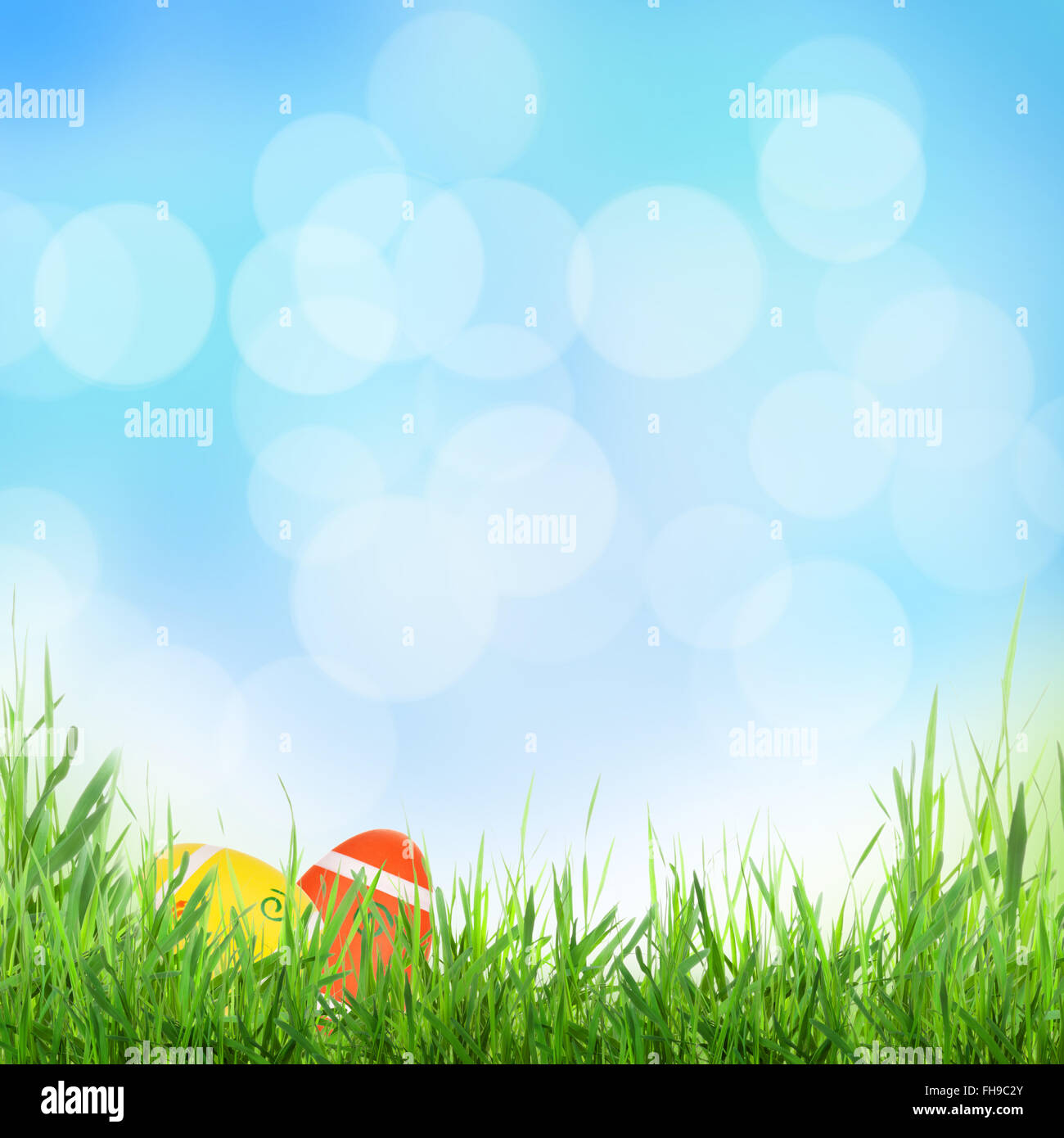 Easter sunny spring background with eggs in grass Stock Photo - Alamy