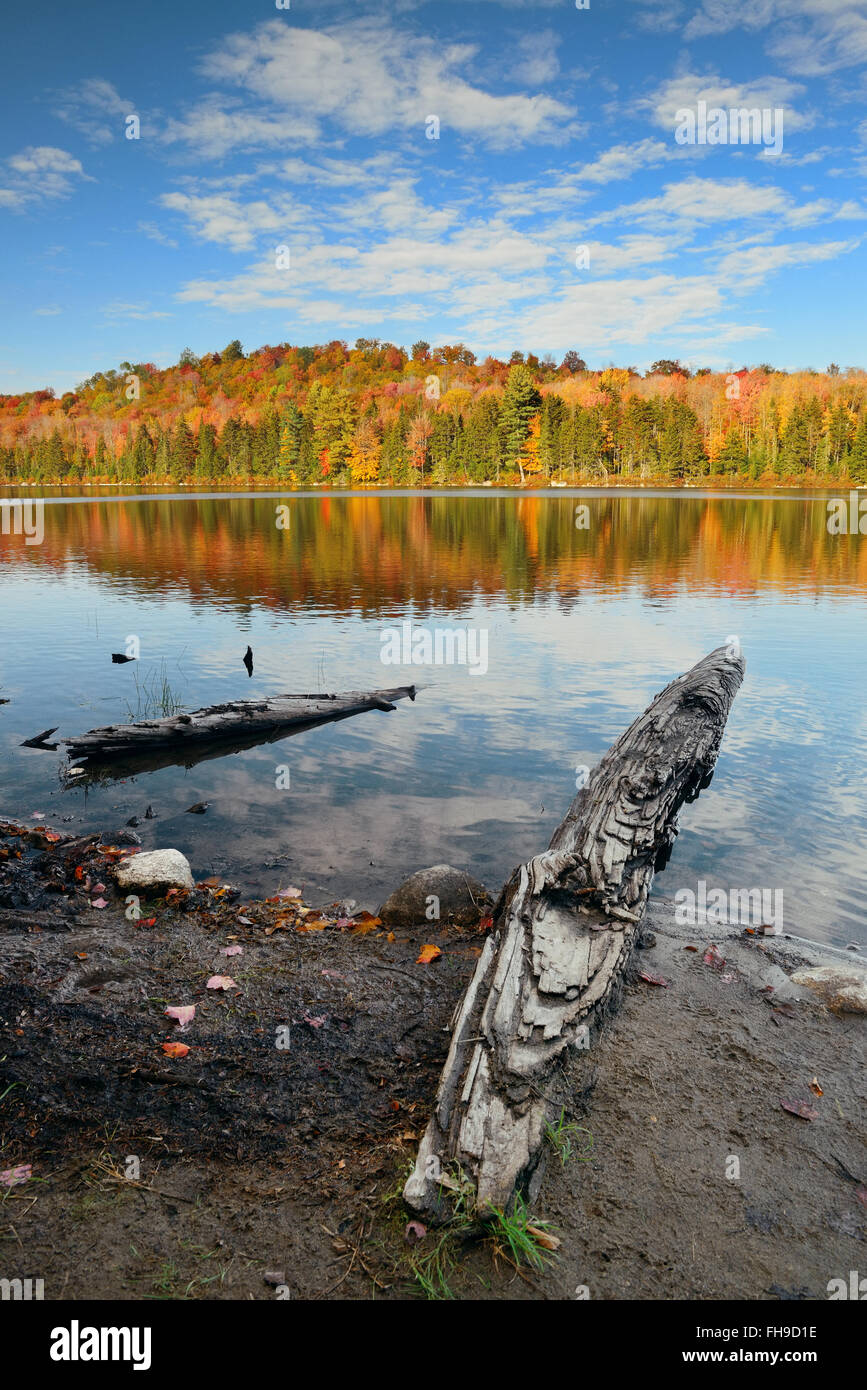 Lake with Autumn foliage, wood log at shore and mountains with ...