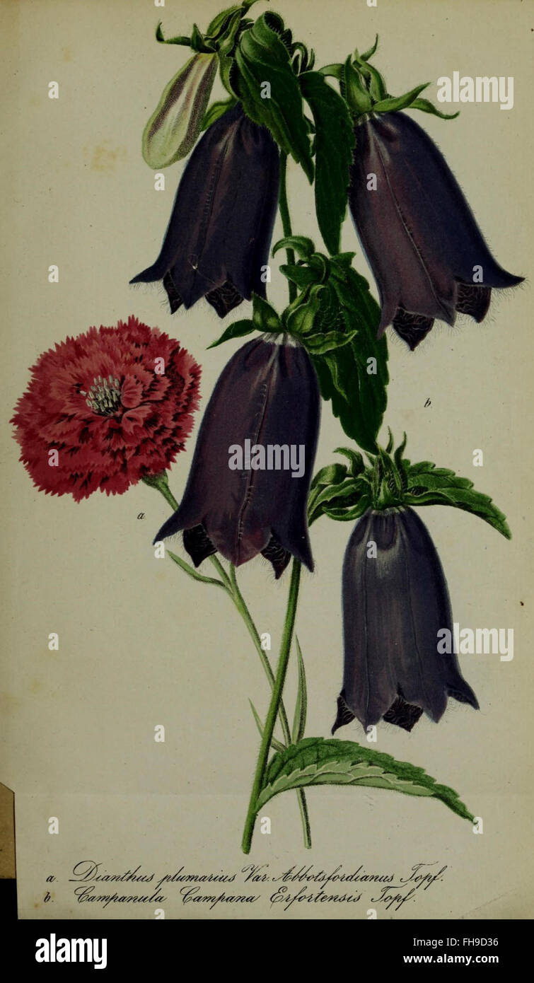 A periodical publication from the Harvard University Botany Libraries ...