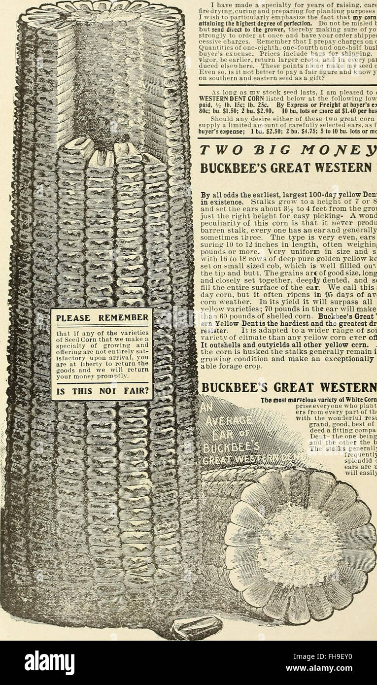 A 1905 guide by H.W. Buckbee, providing comprehensive information on ...