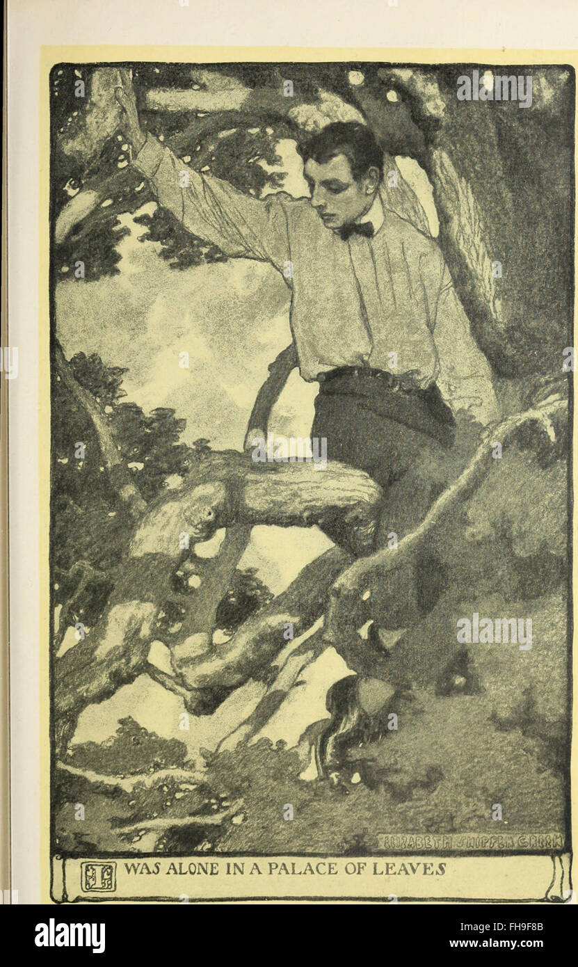 A volume of Harper's New Monthly Magazine, spanning December 1901 to ...