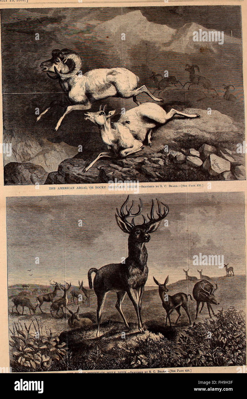 Harper's Weekly, an American publication from 1857, featuring ...