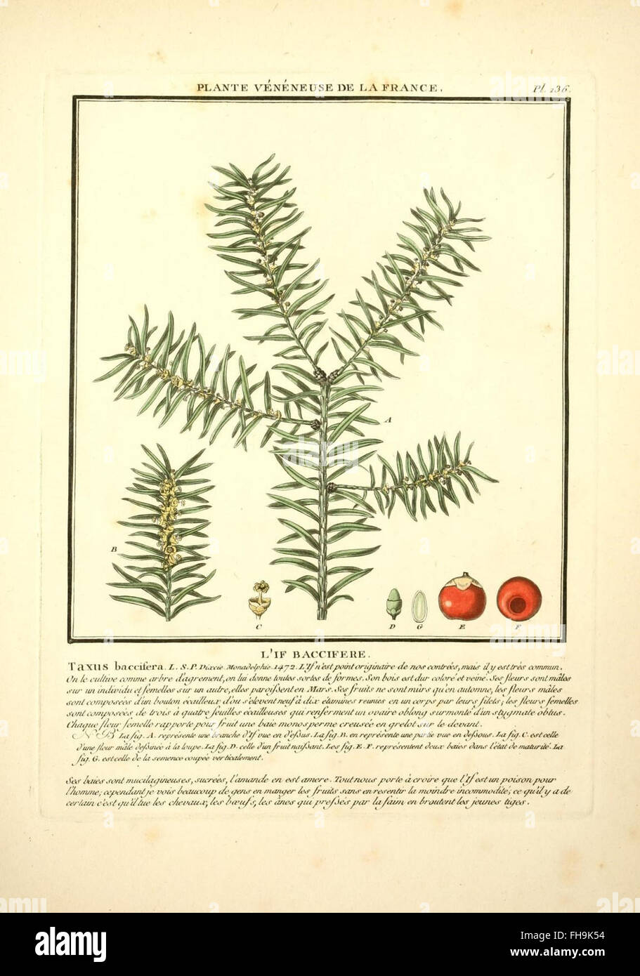 A botanical collection titled 'Herbier de la France,' showcasing the ...