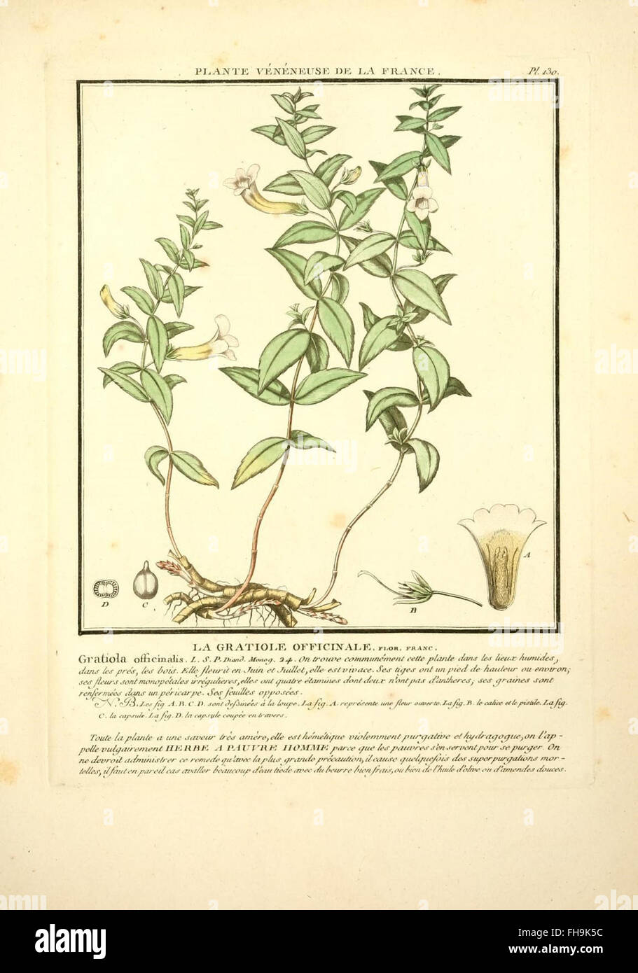 A French botanical collection documenting the flora of France, with a ...