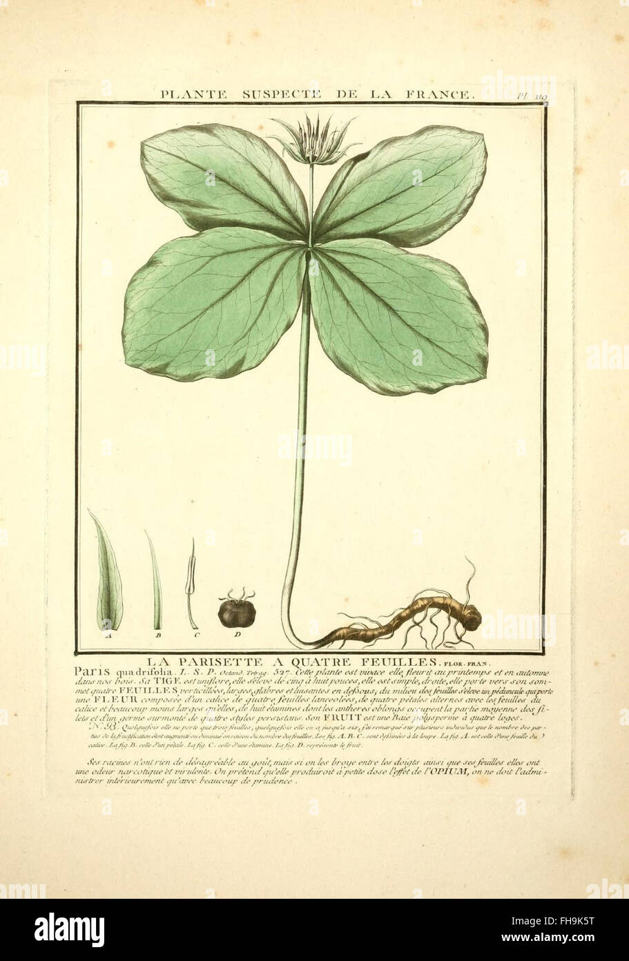 A collection of botanical illustrations and descriptions of French ...