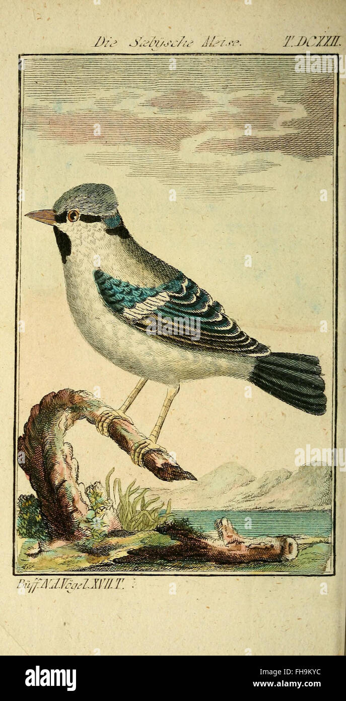 A seminal work by Comte de Buffon, detailing the classification of ...