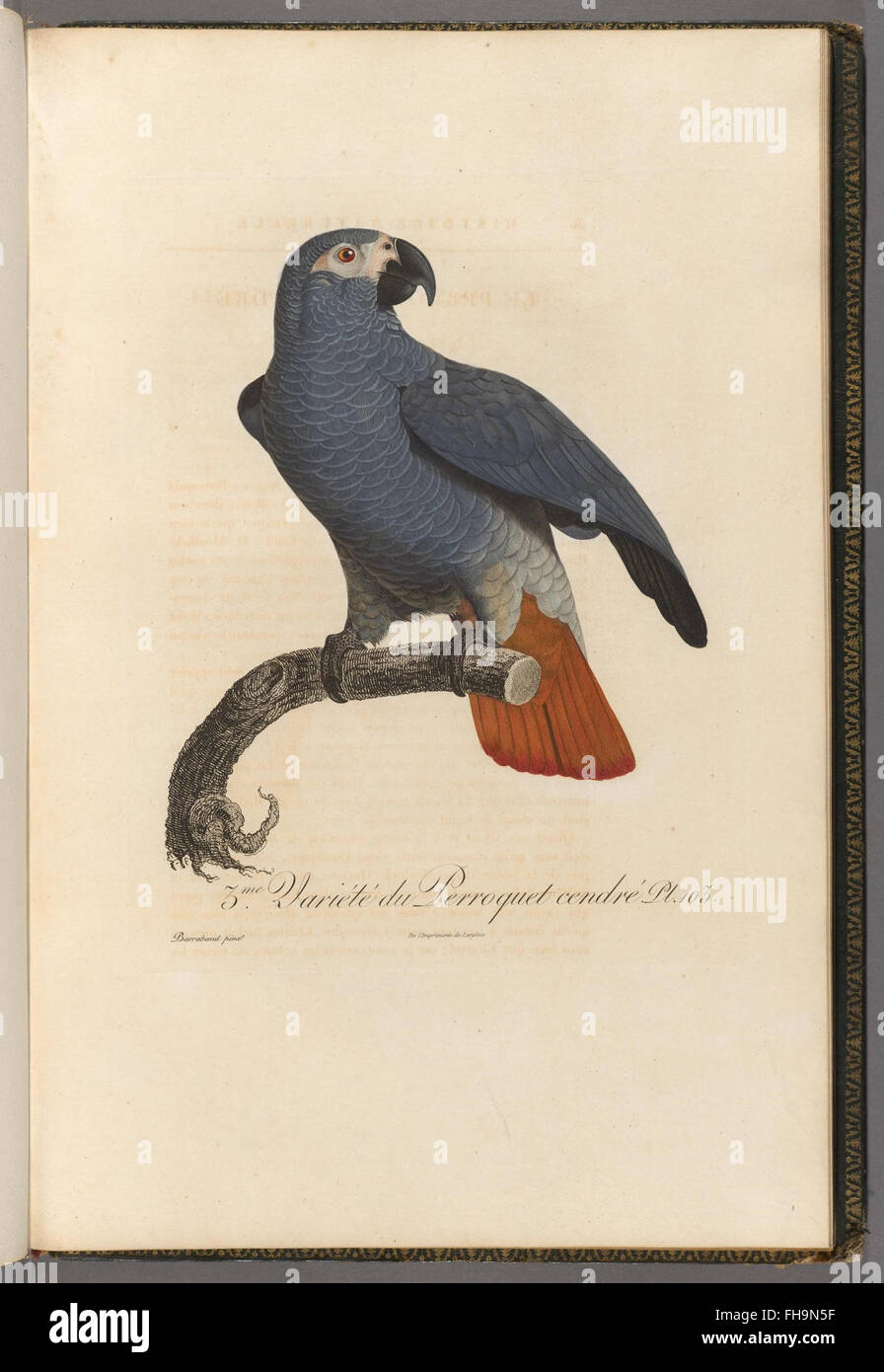 Histoire Naturelle des Perroquets, Missouri Botanical Garden, Peter H ...