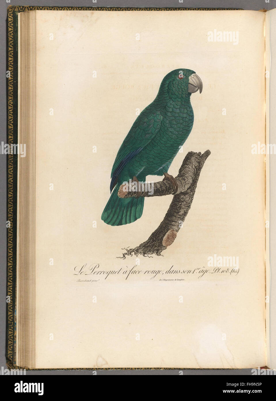 A natural history of parrots, housed at the Missouri Botanical Garden ...