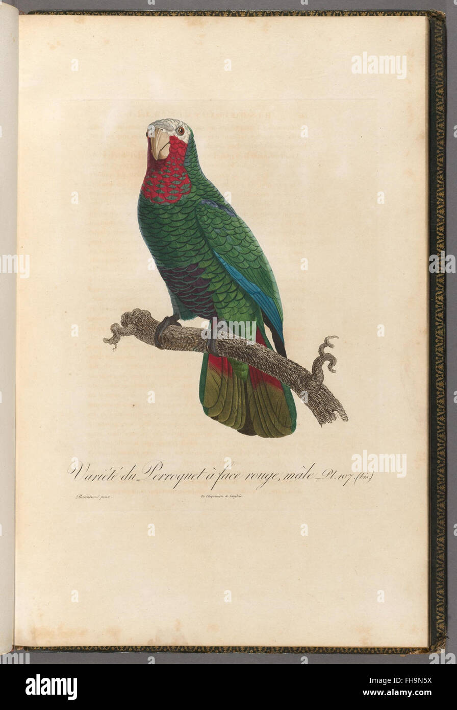 A detailed work on the natural history of parrots, focusing on their ...