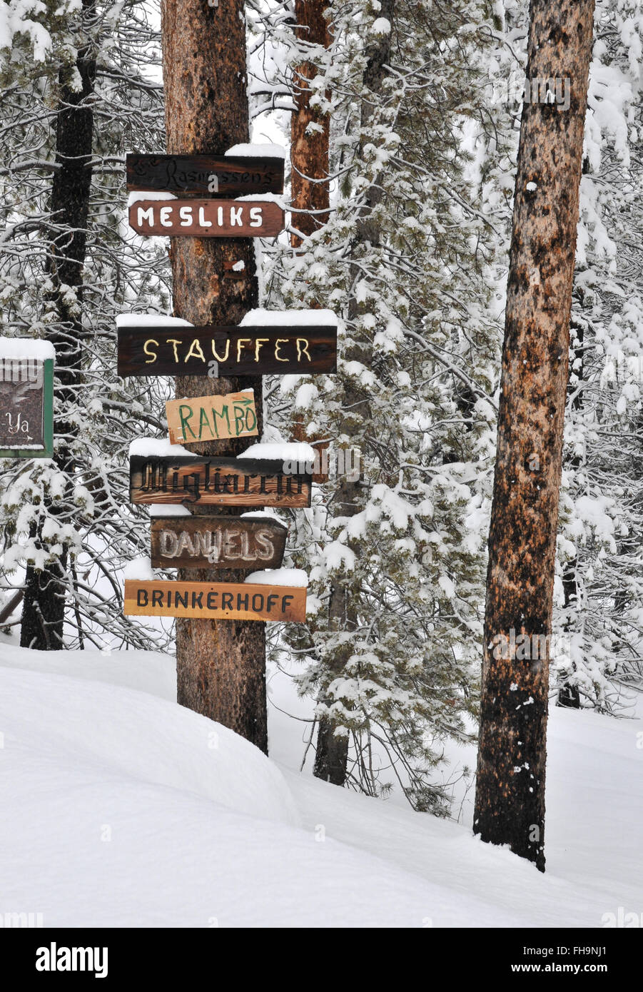 Rambo sign on tree posted with other names is viewed after fresh ...
