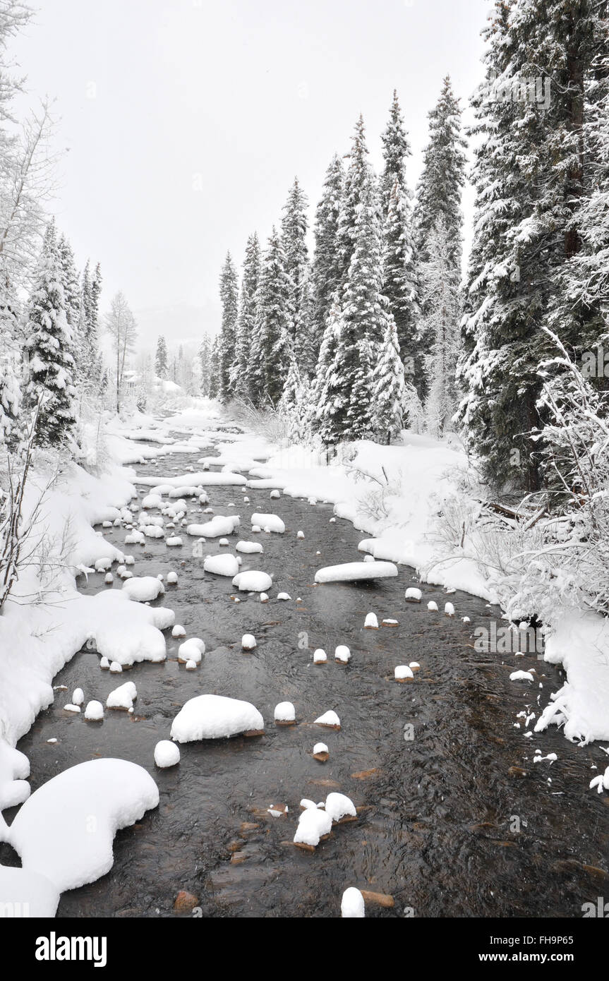 Snowfall vertical hi-res stock photography and images - Alamy