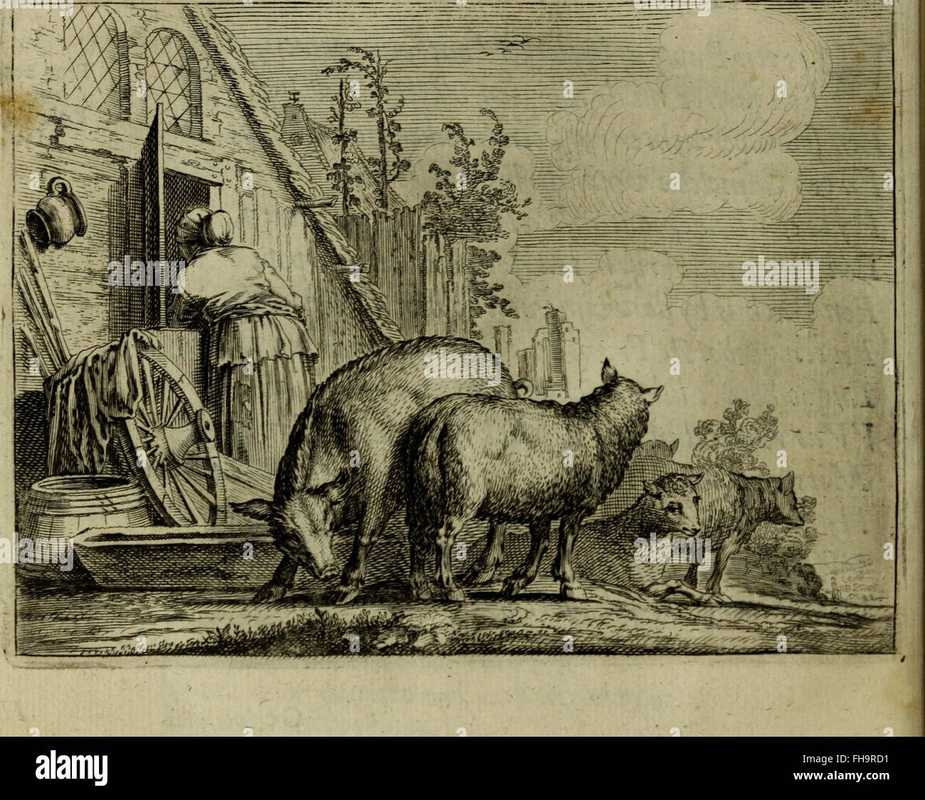 A 1642 work by Ian van der Veen titled 'Zinne-beelden oft Adams appel ...