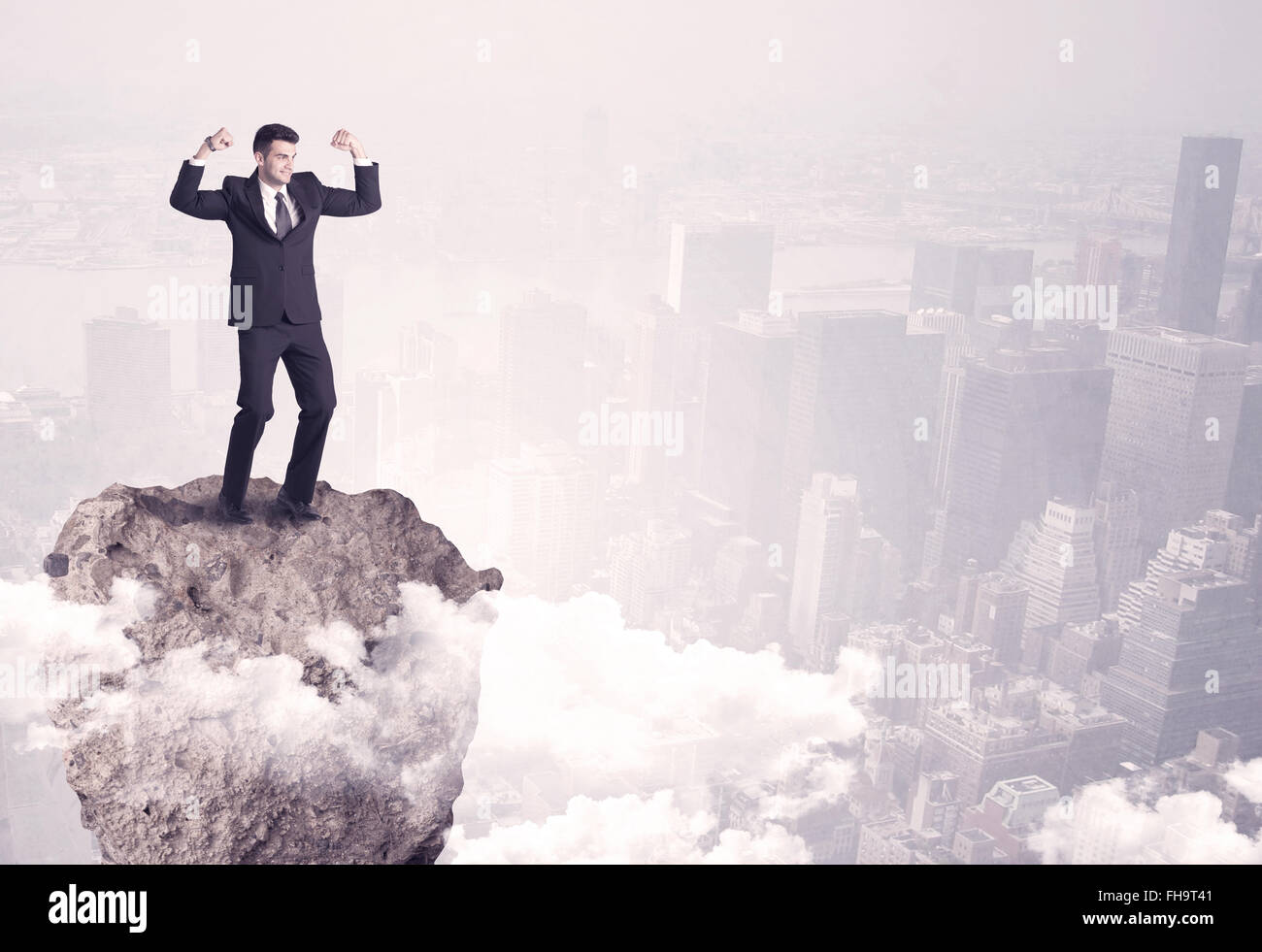 Winner business person standing on rock Stock Photo - Alamy