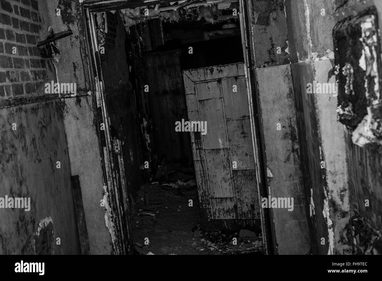 Spooky Hall Way Halloween Haunted Hallway Ideas | Illustrarch