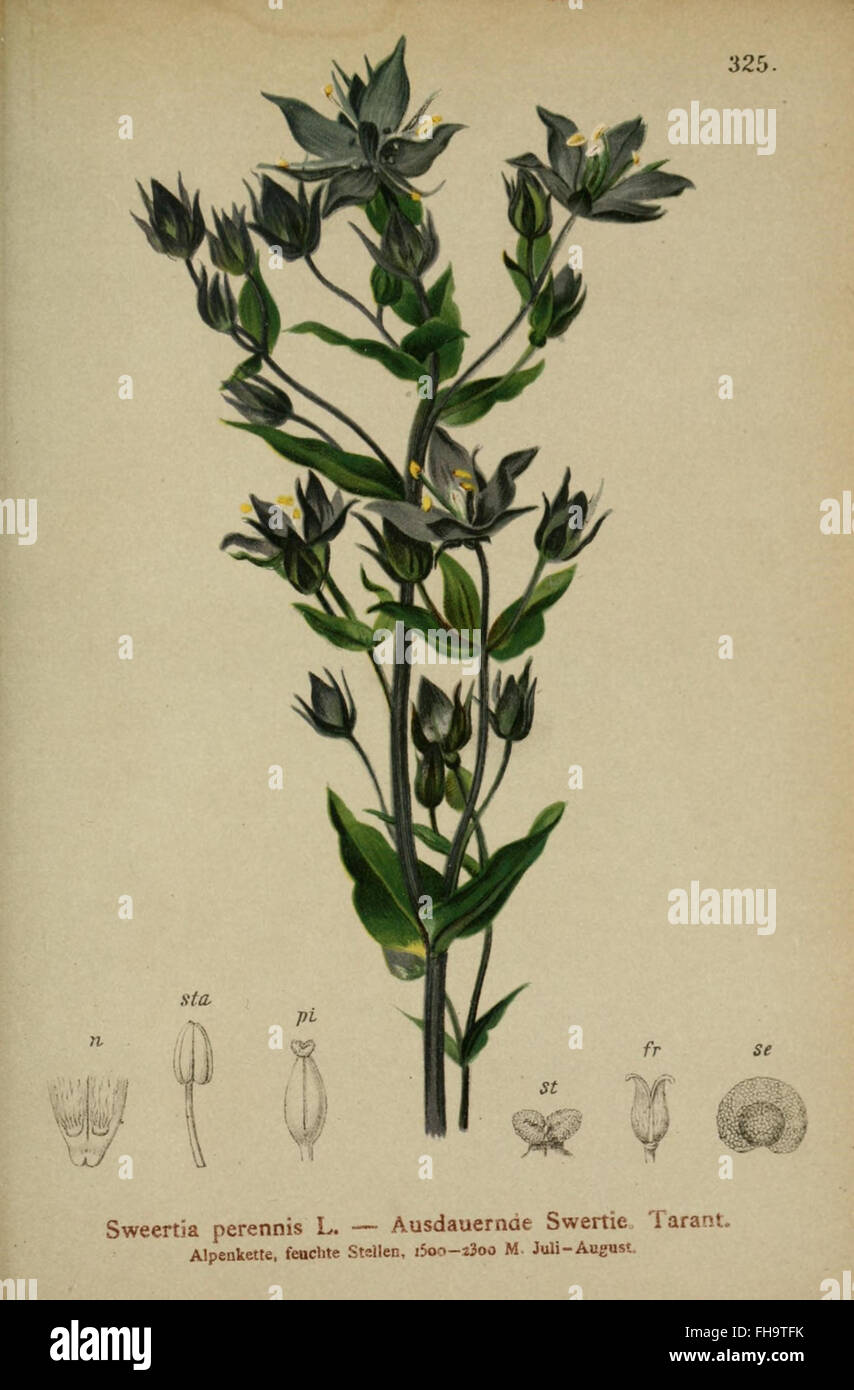 A botanical atlas depicting the flora of the Alps, showcasing various ...