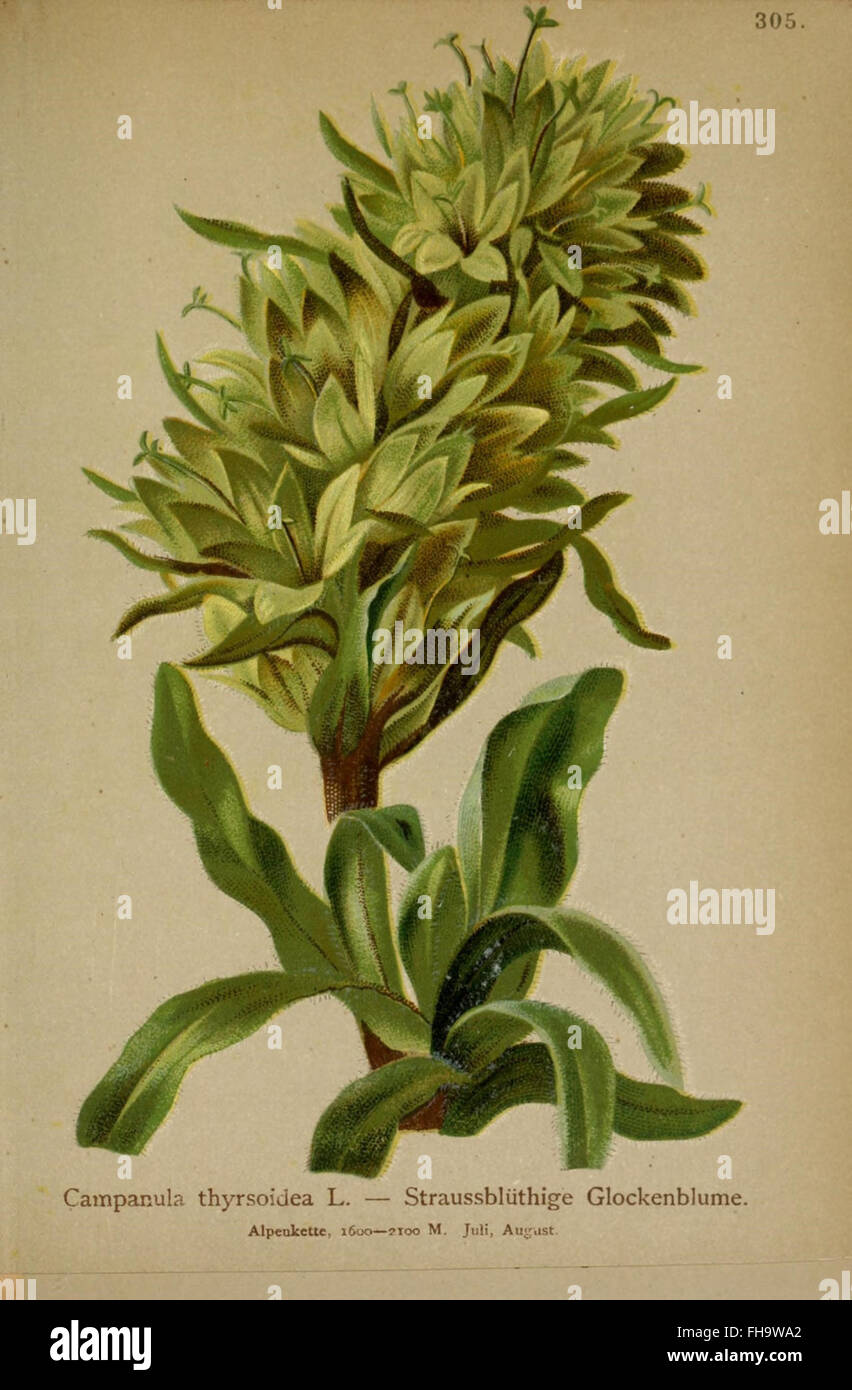 Antique botanical catalog page hi-res stock photography and images - Alamy
