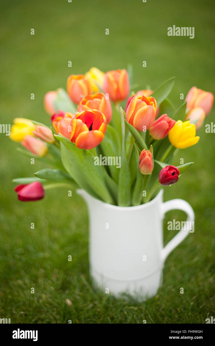 Bright bulb bunch hi-res stock photography and images - Alamy