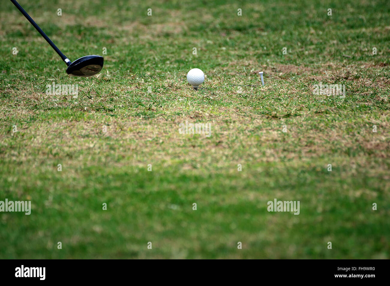 Golf ball on course vertical hi-res stock photography and images - Alamy