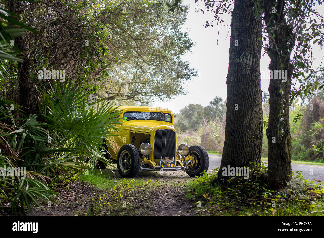 Fast rod hi-res stock photography and images - Alamy