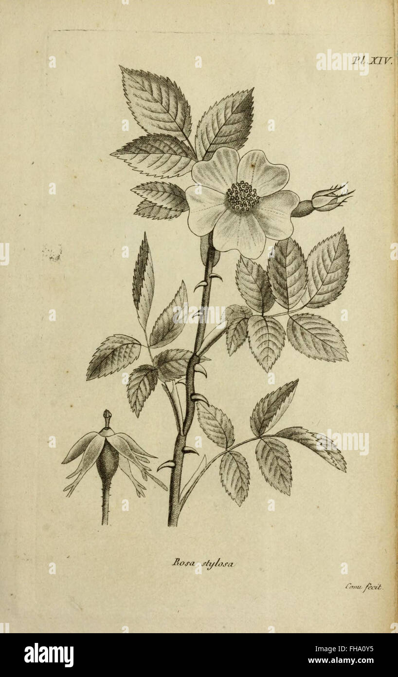 A journal detailing the application of botany to agriculture, pharmacy ...