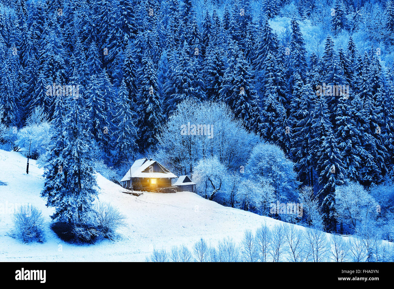 Lighted tree in window hi-res stock photography and images - Alamy