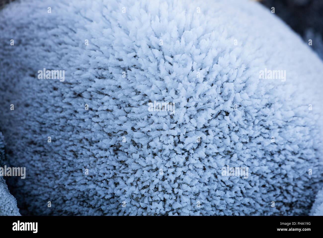 Close up of hoar frost on a rock Stock Photo - Alamy