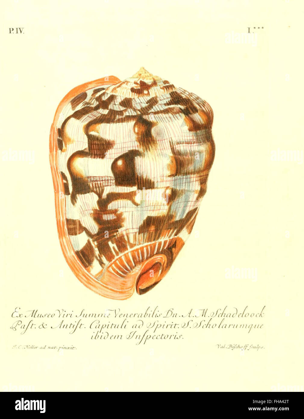 The delights of the eyes and the mind, or, General collection of the ...