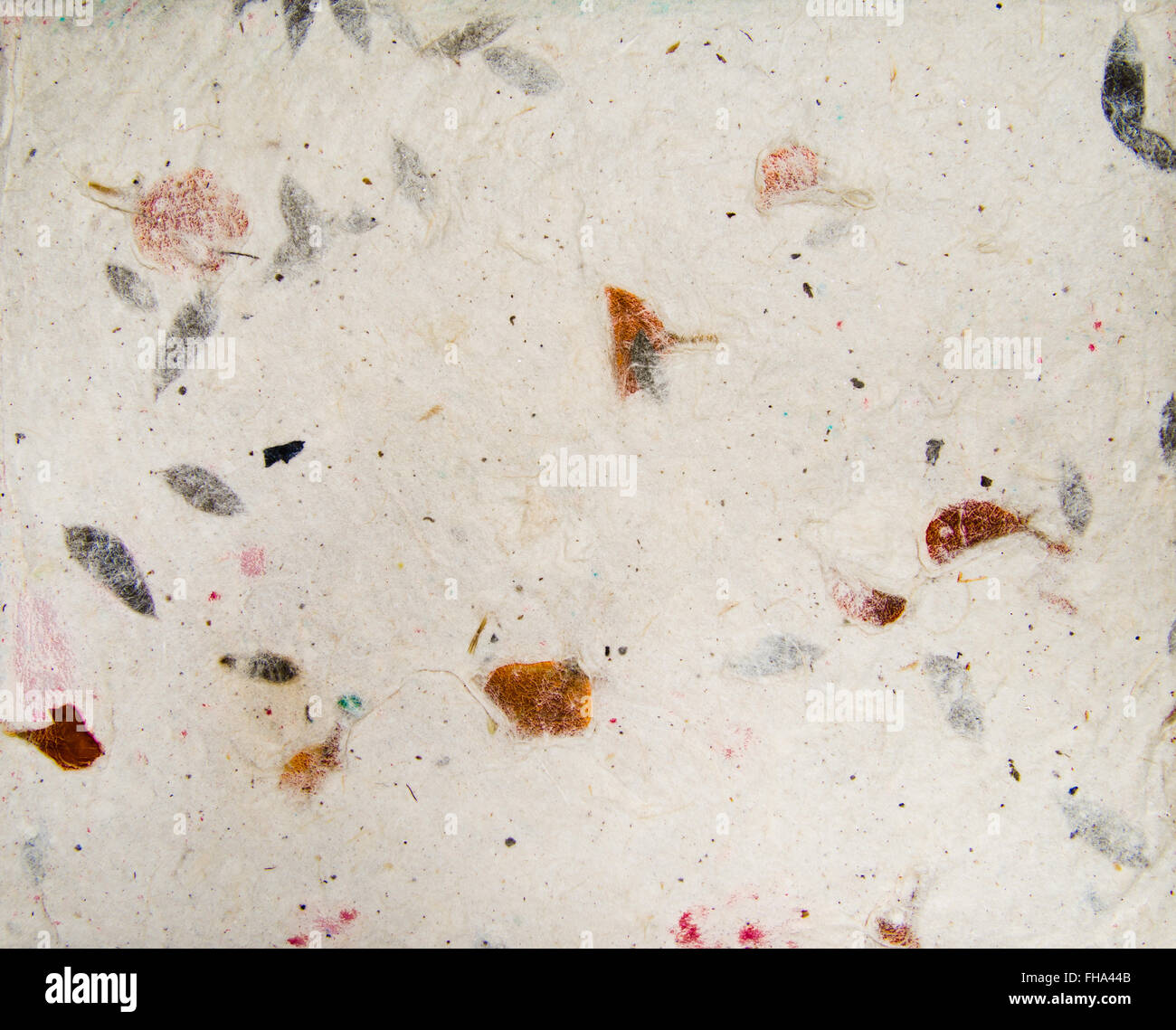 Handmade asian paper texture with leaves herbarium. Natural background ...