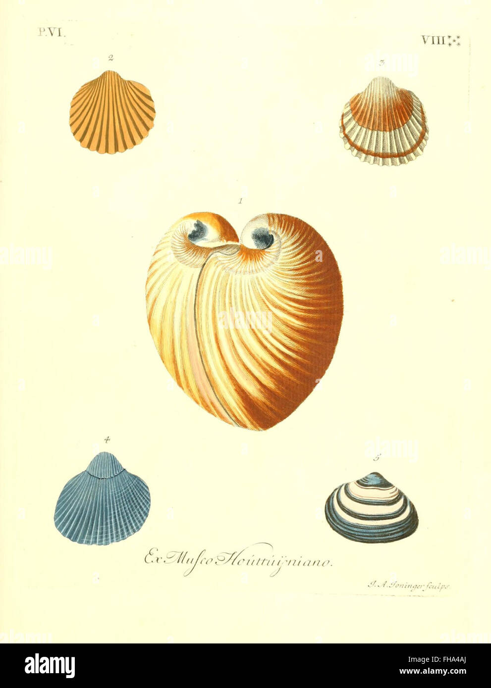 Delights of the Eyes and the Mind, a pictorial collection of various ...