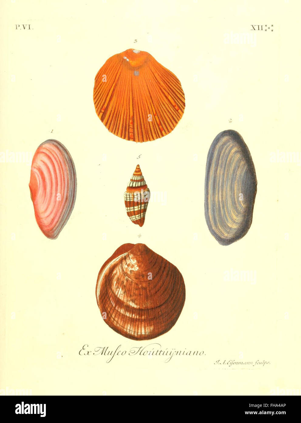 The Delights of the Eyes and the Mind, or, General Collection of the ...