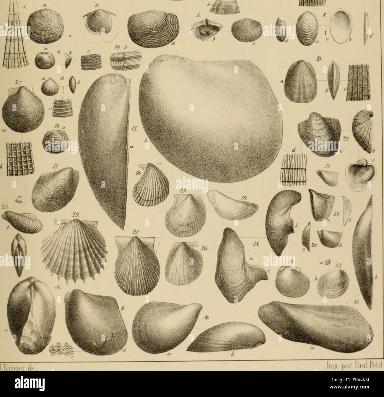 A 1852 work on the paleontology of Russia, focusing on the fossil ...