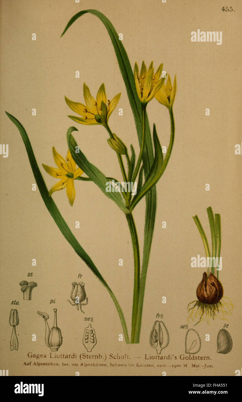 Featuring detailed maps hi-res stock photography and images - Alamy