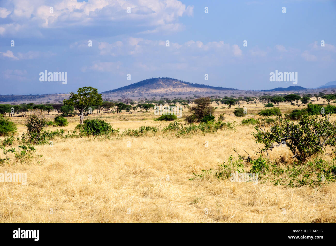 African safari landscape Stock Photo - Alamy