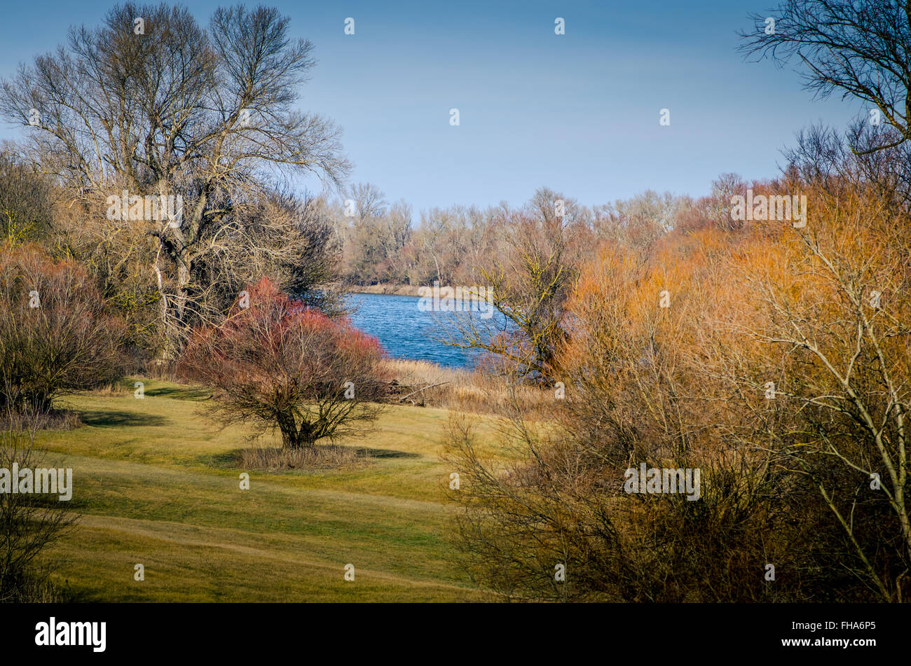 Spring rural countryside hi-res stock photography and images - Alamy