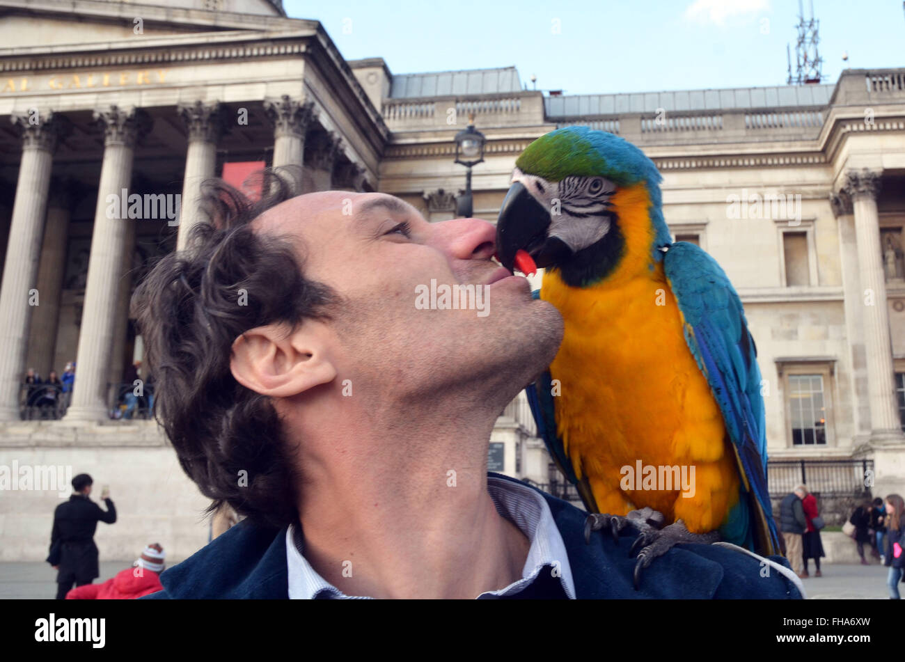 Parrot owner hi-res stock photography and images - Alamy