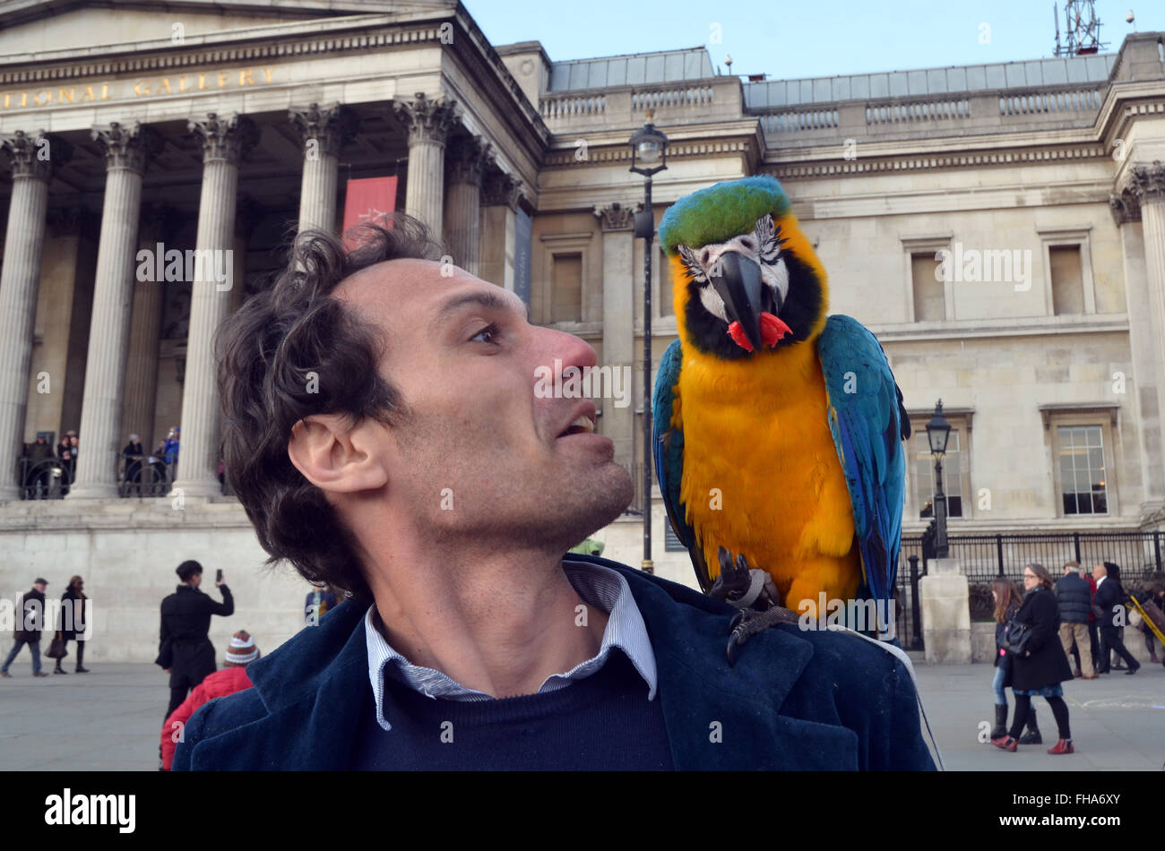 London, UK, 24 February 2016, Macaw parrot "Damian" plays tricks with ...