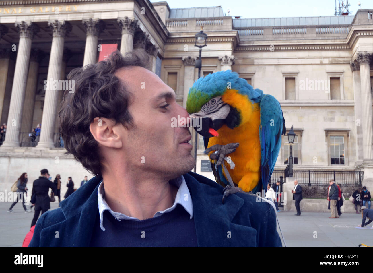 London, UK, 24 February 2016, Macaw parrot "Damian" plays tricks with ...